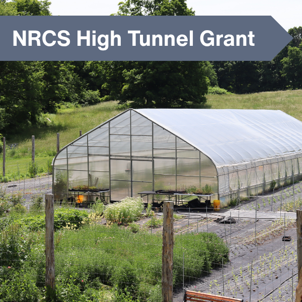 NRCS High Tunnel Grant: The Complete Guide for Growers (2026) - CT ...