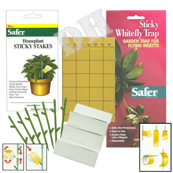 Safer Sticky Traps - CreatorHydro