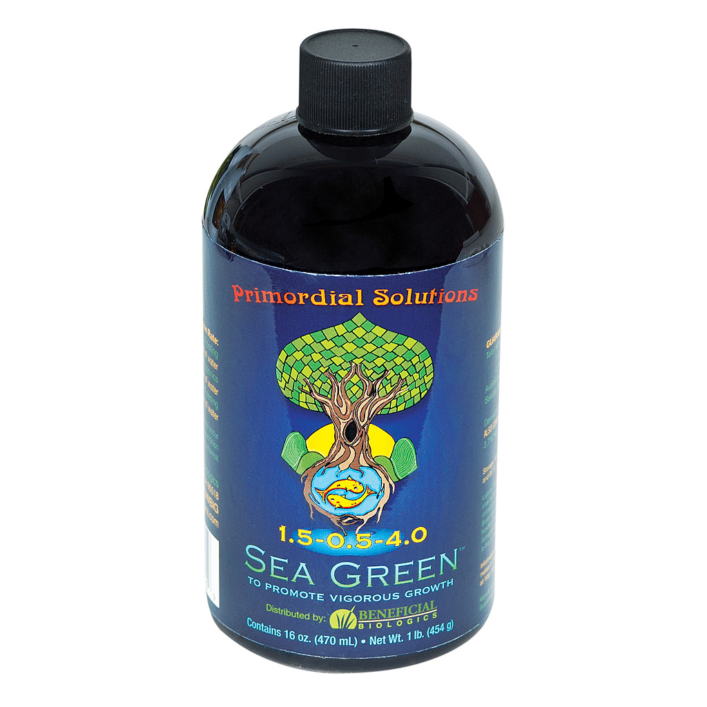 Primordial Solutions Sea Green - CreatorHydro