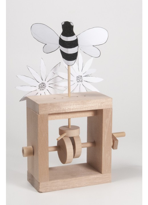 TimberKits -Timbertech Cams for 4 Learners