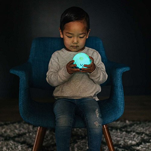 Design Your Own Night Light Craft Kit - Seedling