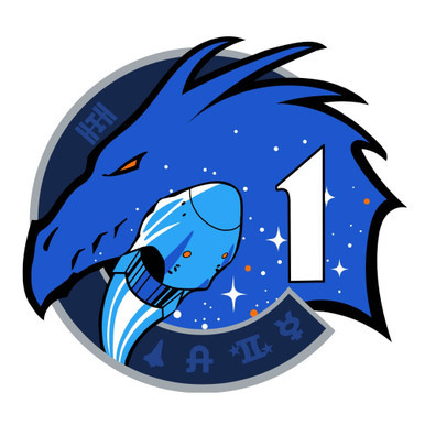 Crew-1 (NASA) Alt Patch