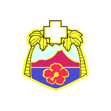 Tripler US Army Medical Center Patch