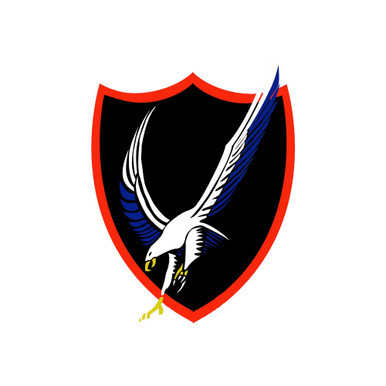 VFA-136 Knighthawks, US Navy Patch