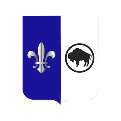 371st US Army Infantry Regiment Patch