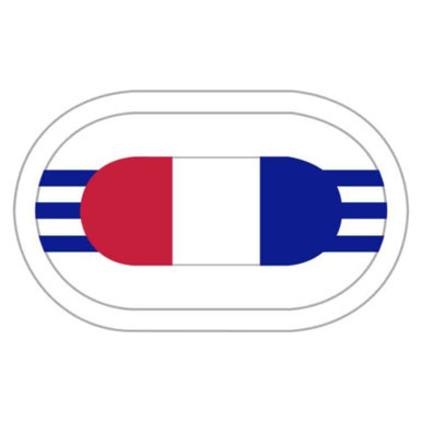 3 Battalion, 506 Infantry Regiment (Background Trimming), US Army Patch