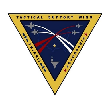 US Navy Tactical Support Wing (TSW) Patch