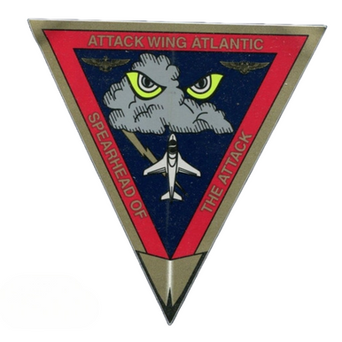 US Navy Attack Wing U.S. Atlantic Fleet Patch
