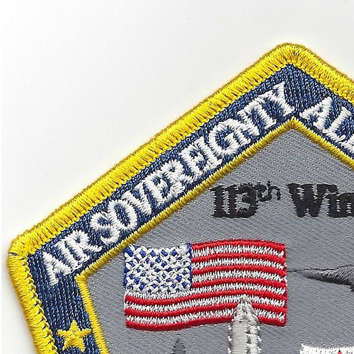 113th Wing DC Air National Guard Patch | Specialty Patches | Popular Patch