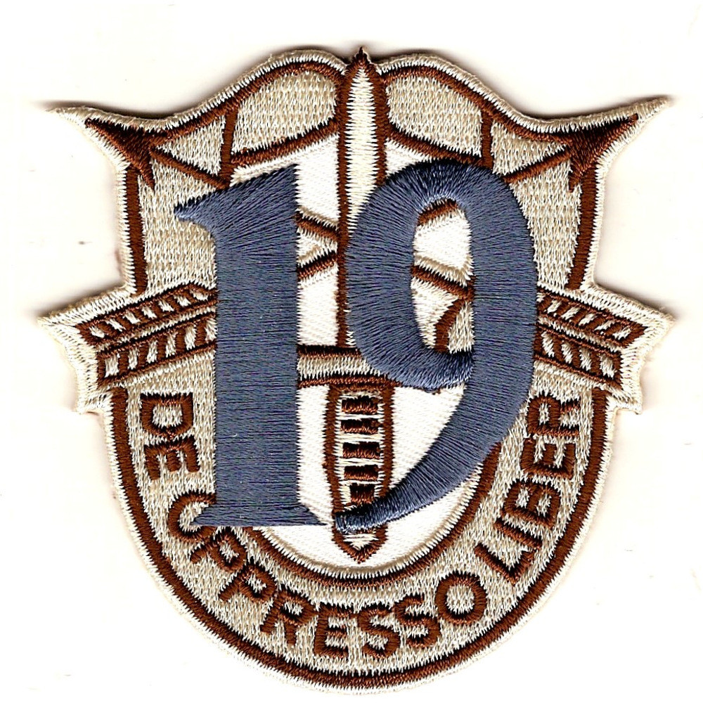 19th Special Forces Group Crest Desert Blue 19 Patch | Special Forces ...