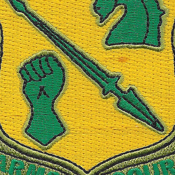 111th Armored Cavalry Regiment Patch Collectibles Militaria etna.com.pe