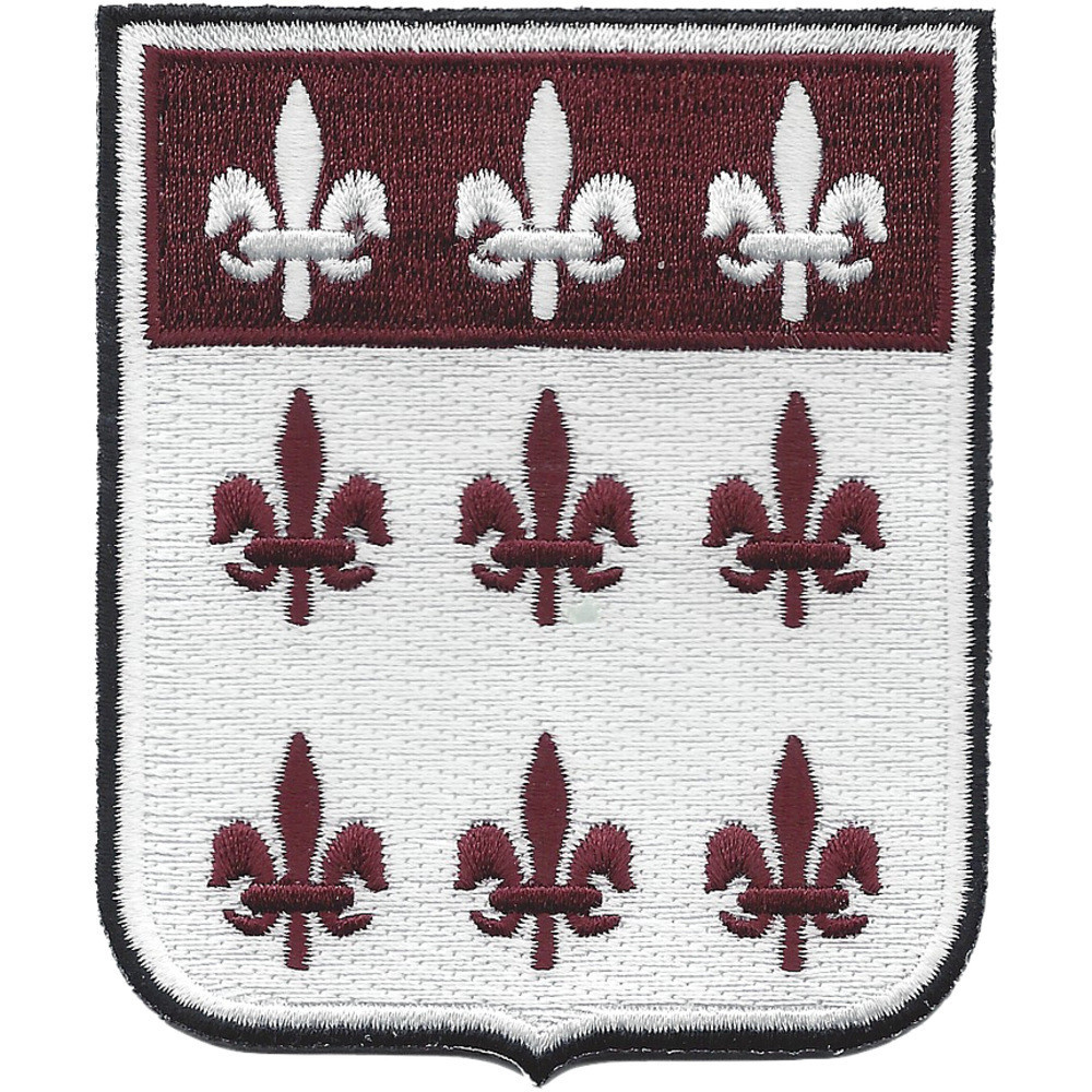 307th Airborne Engineer Battalion Patch | Engineer Patches | Army ...
