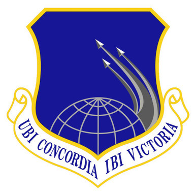 495th Fighter Group Patch