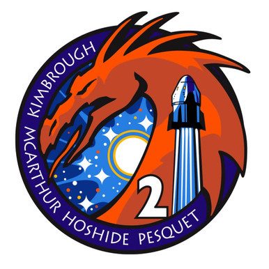 Crew-2 (NASA) Alt Patch