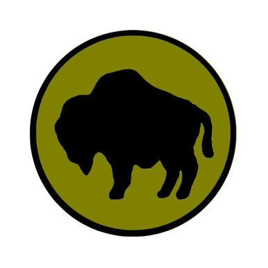 92nd Infantry Division Buffalo Soldiers Division, US Army Patch