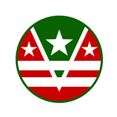 124th Army Reserve Command, US Army Patch