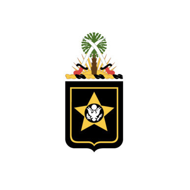 15th US Army Finance Battalion Patch