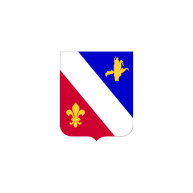 350th US Army Infantry Regiment Patch
