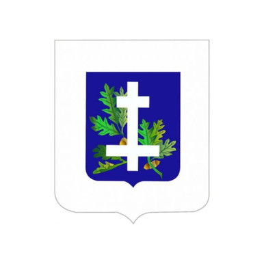 367th US Army Infantry Regiment Patch
