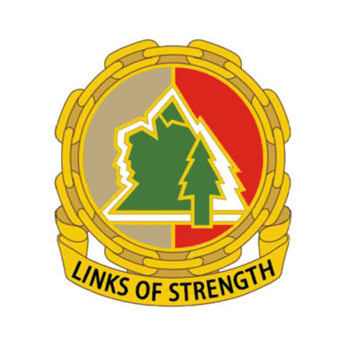 167th US Army Support Battalion Patch