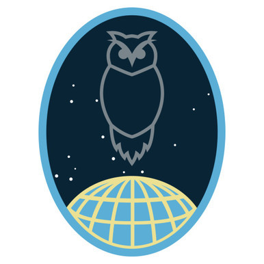 Forrest L. Vosler Non-Commissioned Officer Academy, US Space Force Patch