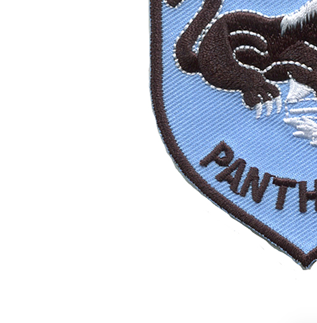 2nd Battalion 47th Infantry Regiment Patch Mechanized Viet-Nam Panthers ...