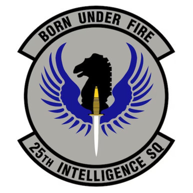 25th Intelligence Squadron Patch