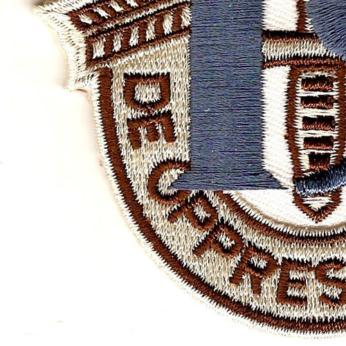 19th Special Forces Group Crest Desert Blue 19 Patch | Special Forces ...