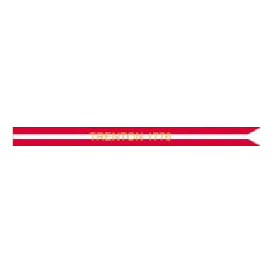 Revolutionary War (Campaign and War Service Streamers), US Army Patch