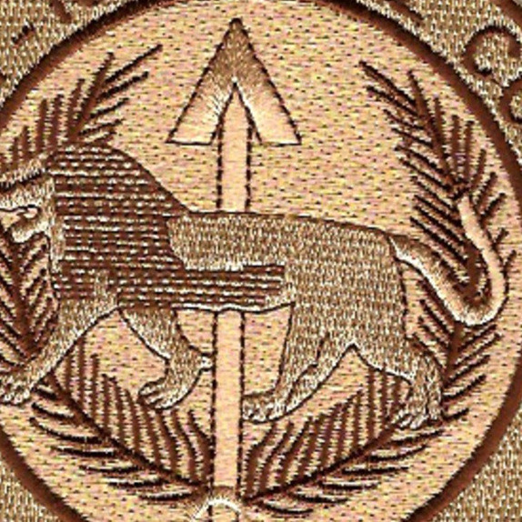 Multi-National Corps Patch Iraq Desert | Combined Forces Patches ...