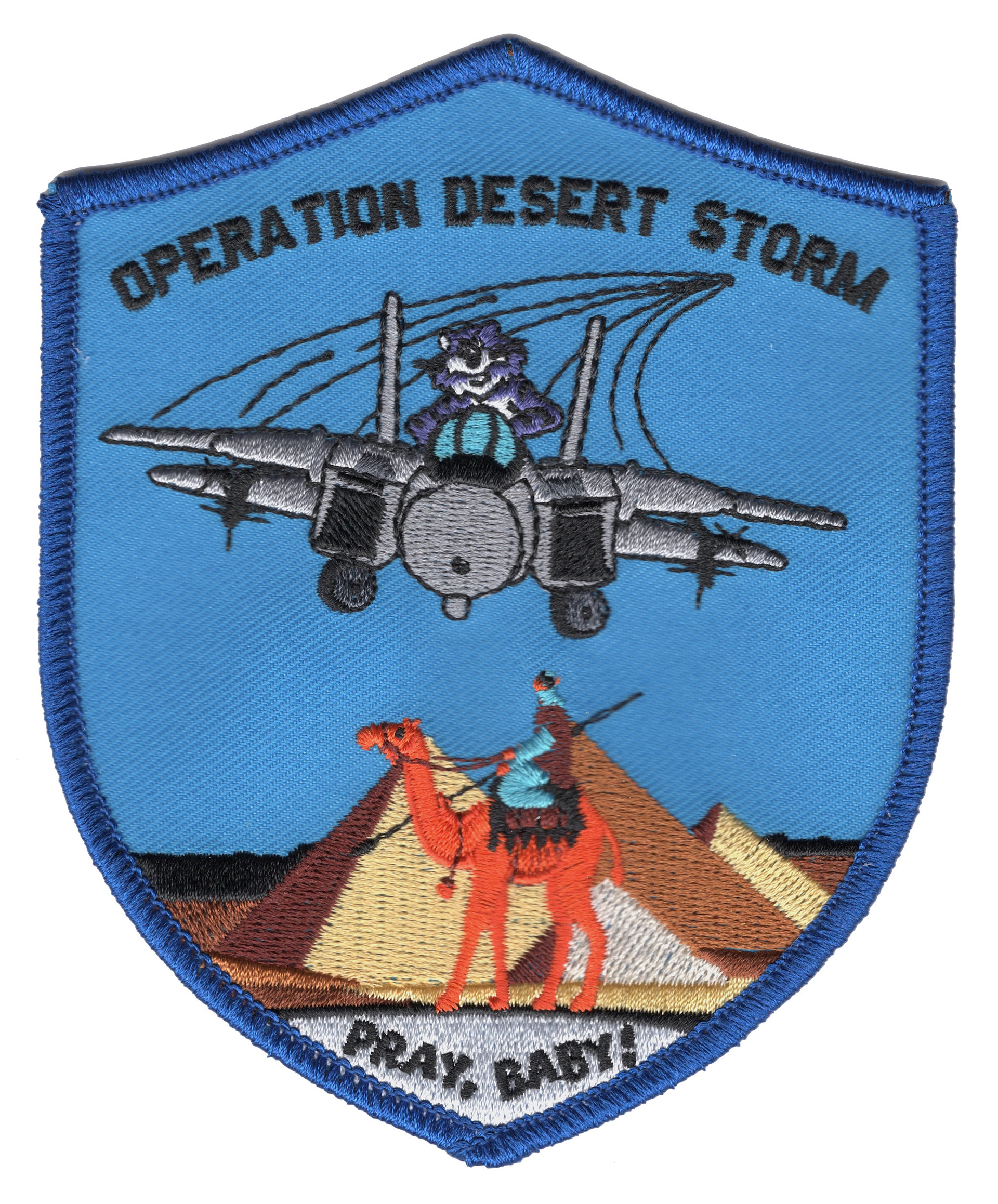 F-14 Tomcat Operation Desert Storm Patch Pray Baby | Squadron Patches ...