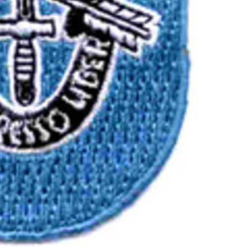 19th Special Forces Group Crest Flash Patch | Special Forces Patches ...