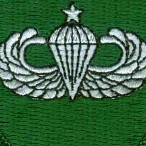10th Special Forces Group Senior Jump Wings Patch | Special Forces ...