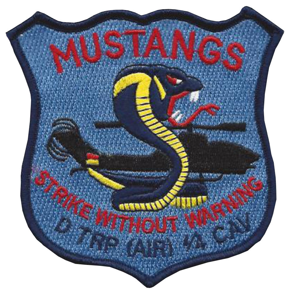 2nd Squadron 6th Aviation Regiment Delta Troop Patch Hook And Loop ...