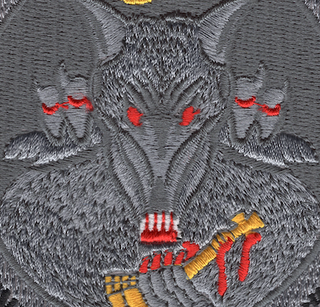 United States Army 160th SOAR Unit Patch | Popular Patch