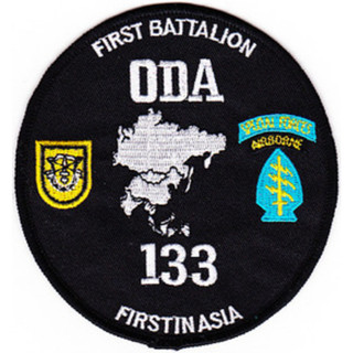 ODA-133 Special Forces Operational Detachment Patch | Special Forces ...