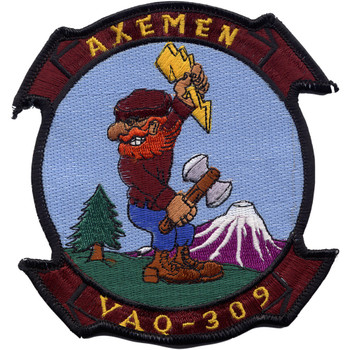 VAQ-130 Carrier Tactical Electronics Warfare Squadron Patch | Squadron ...