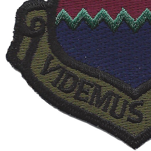 AF 55th Wing OD Patch | Squadron Patches | Air Force Patches | Popular ...