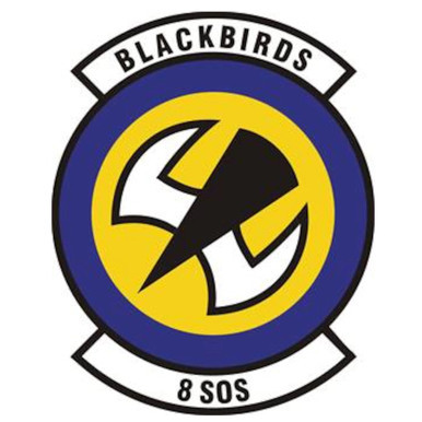 8th Special Operations Squadron Patch