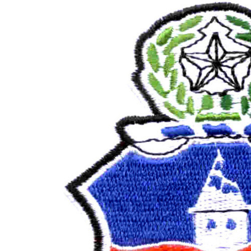 142nd Infantry Regiment Patch | Infantry Patches | Army Patches ...