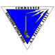 US Navy Electronic Combat Wing U.S. Pacific Fleet Patch