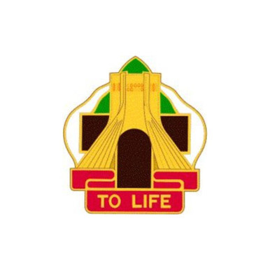 US Army MEDDAC Tehran Patch