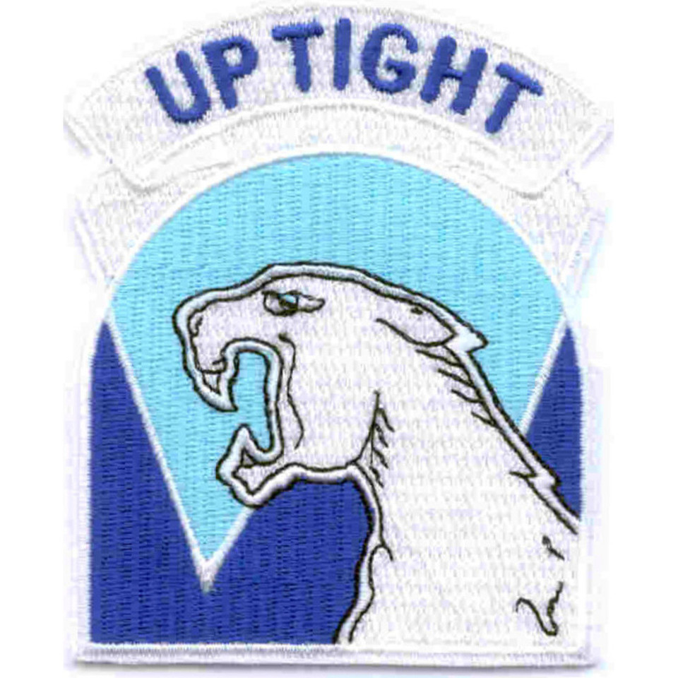 269th Combat Aviation Battalion Patch - The Black Barons | Aviation ...