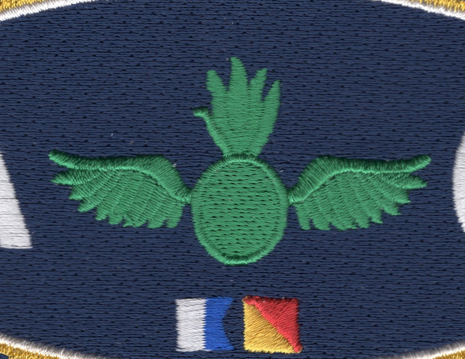 Aviation Ordnanceman AO Rating Hat Patch | Ratings Patches | Navy ...