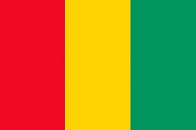 Guinea Flag Patch - Popular Patch