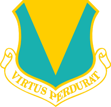 86th Air Division Patch