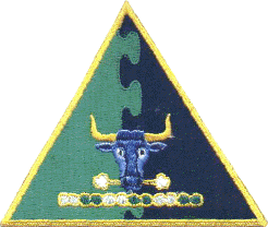 5th Strategic Reconnaissance Wing Patch - Popular Patch