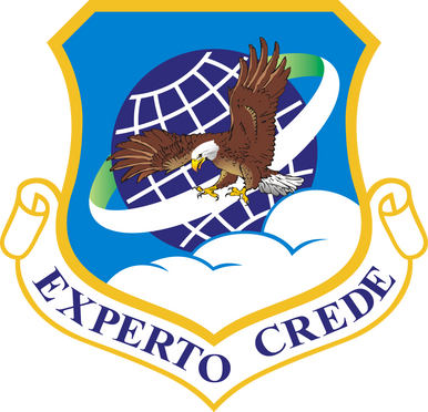 89th Airlift Wing Patch
