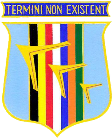 60th Troop Carrier Wing Patch - Popular Patch