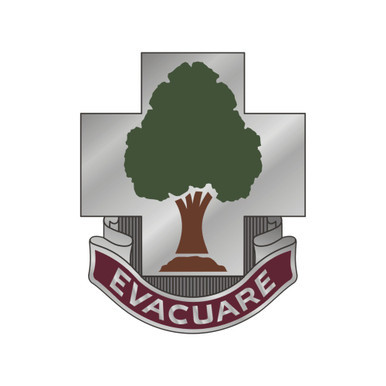 115th US Army Combat Support Hospital Patch